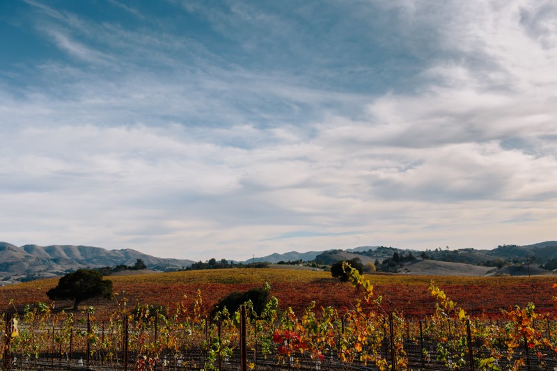 Fossil Point - Our Gallery